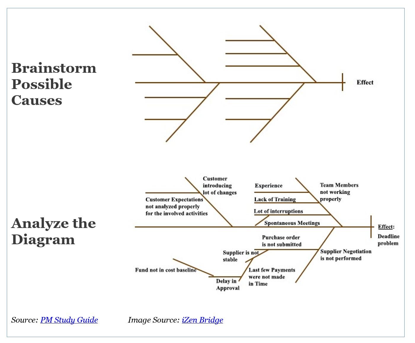 Cause and Effect Diagrams for PMPs
