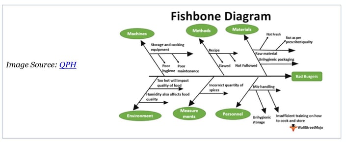Cause and Effect Diagrams for PMPs